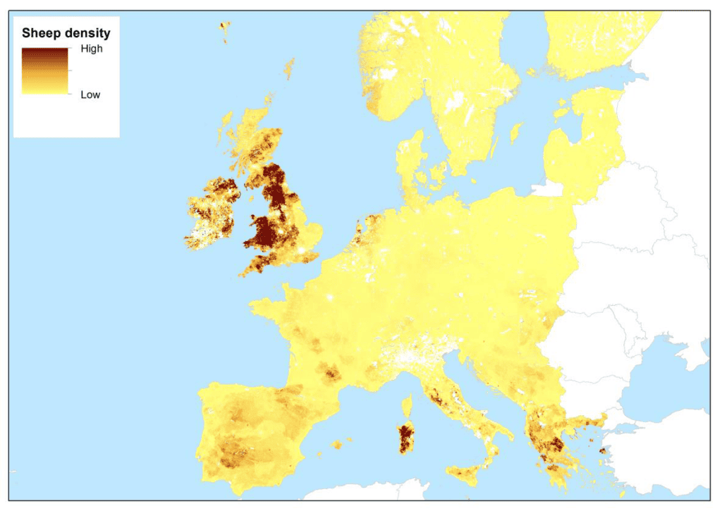 Where You Can Find Sheep In Europe Cereal Secrets where-you-can-find-sheep-in-europe-cereal-secrets